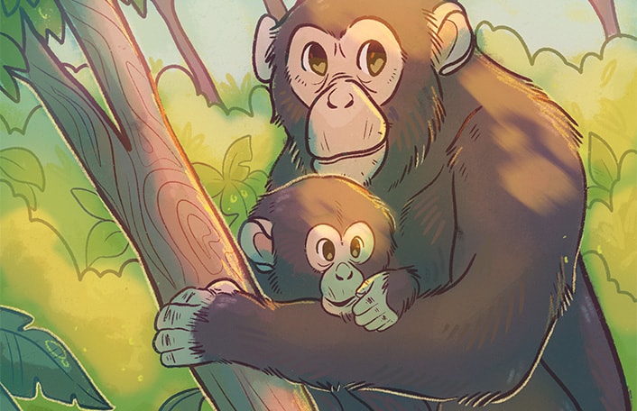 World Chimp Day - Monarto Safari Park