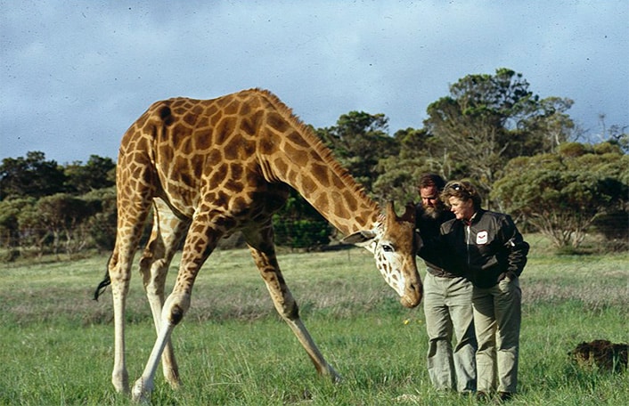 40 years of Monarto Safari Park - Monarto Safari Park