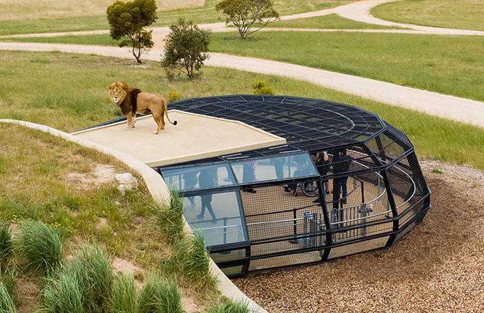 40 years of Monarto Safari Park - Monarto Safari Park