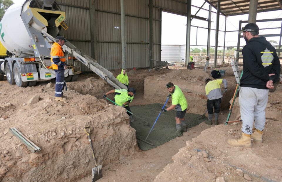 Elephant habitat construction update - Monarto Safari Park