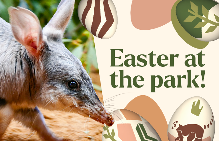 Easter at the Park 2025 - Monarto Safari Park